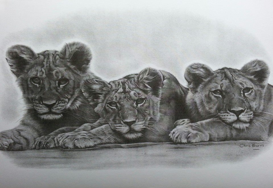 The Art of Chris Burns | TheOriginalVanGoghsEarAnthology